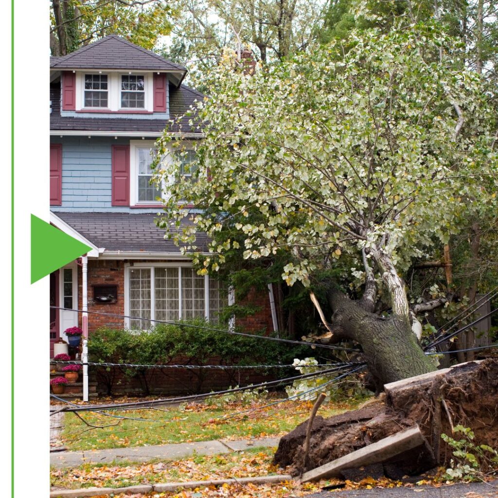 Professional Storm Damage Restoration Services | Table Rock Restoration